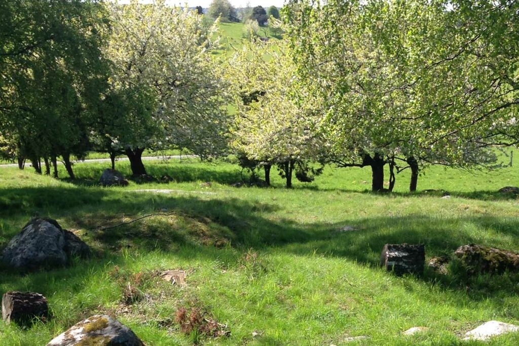 Activities & attractions at Birka | Birka The Viking City